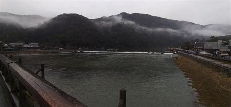 Determiners 7th Grade University Quiz Quizizz