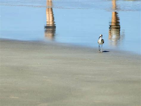 Ripple Effect On Behance