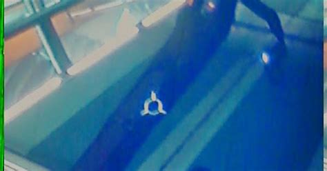 Elcor Shep Album On Imgur