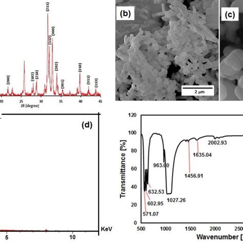 A Xrd Patterns B And C Sem D Edx And E Ftir Of Synthesized Nhap