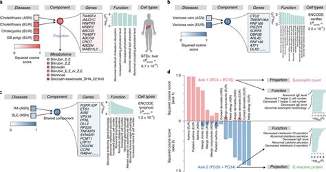 Examples Of Disease Component Correspondence And Biological Download Scientific Diagram