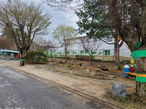 [4 14] 괴산군 감물초등학교 숲밧줄놀이터 설치 활동앨범 힐링플레이