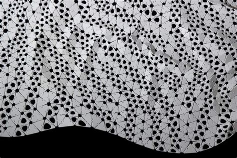 Kinematics Nervous System Jessica Rosenkrantz Jesse Louis Rosenberg 2007