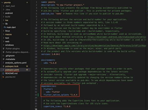 Flutter 01 Splash 화면앱 실행화면 구현하기