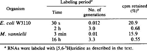 Isolation Of Poly A Rna From E Coli And M Vannielii Download Table