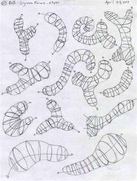 Some Drawings Of Different Types Of Snakes And Their Names Are Shown In