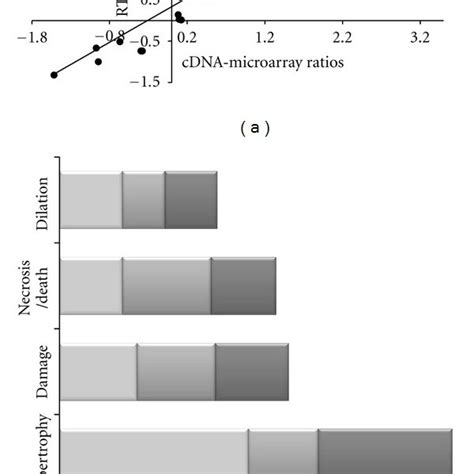 Validation Of Cdna Microarray Ratios And Functional Clustering The