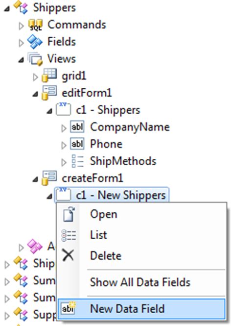 Code On Time Data Controllers Fields Items Style Check Box List Creating A New Many To