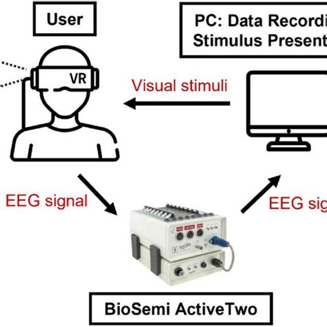 A Schematic Diagram Of The Proposed Hybrid Bci System The Visual Download Scientific Diagram