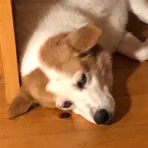 Mikiya Kusaka Medium