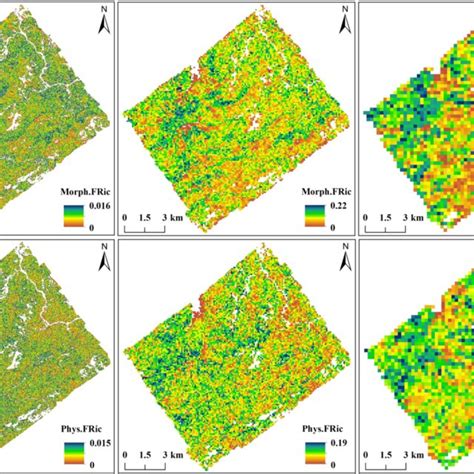 The Bivariate Relationships Between Functional Traits Diversity Or Download Scientific Diagram
