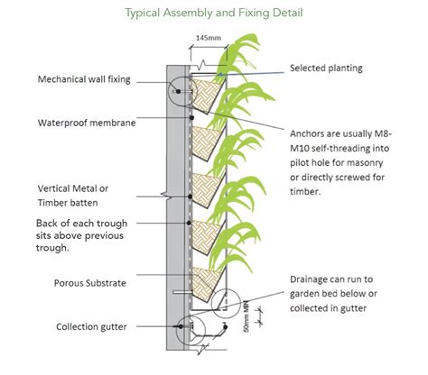 Meristem Design Sustainable Living Walls And Modular Green Wall Systems Vertical Garden