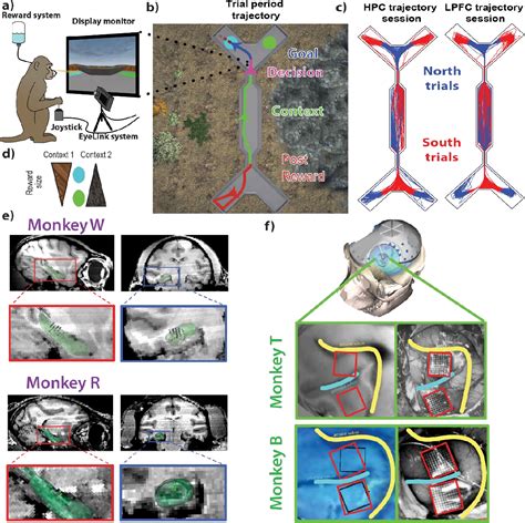 Figure 1 From Different Neural Codes Serve Long And Short Term Memory