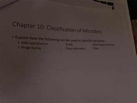 Solved Chapter 10 Classification Of Microbes Hierarchy Of Solved Chapter 10 Classification Of Microbes Hierarchy Of