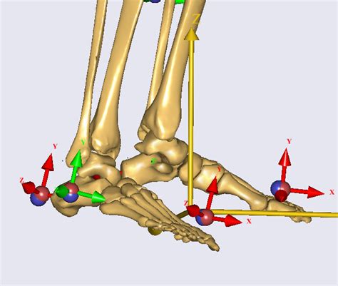 Basic Questions About MoCap Models Main Forum AnyScript Forum