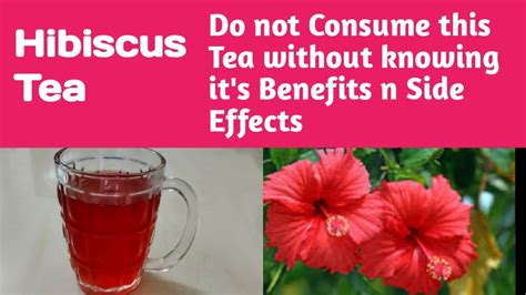Hibiscus Tea Do Not Consume It Without Knowing Its Benefits N Side
