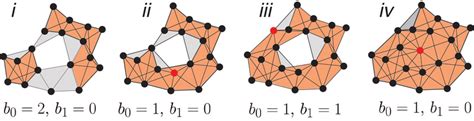 Evolution Of Betti Numbers I Iv Vertices Red Are Added Sequentially