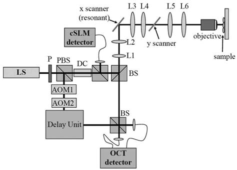 Scheme Of The Experiment Ls Light Source λ840 Nm Δλ50 Nm Aom Download Scientific