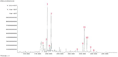 Chromatogram Of Gc Ms Analysis Of Ethyl Acetate Callus Extract The Red