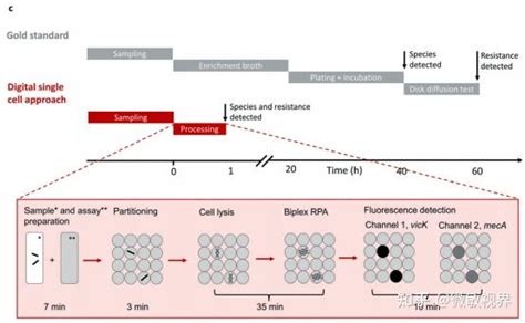 一种用于现场即时检验（point Of Care Testing）的ddpcr 知乎