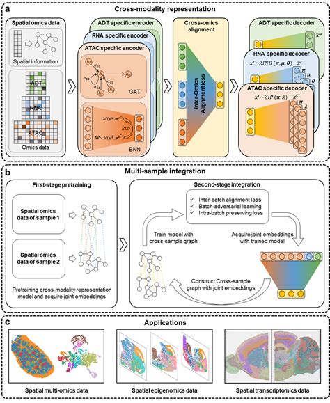Cross Modality Representation And Multi Sample Integration Of Spatially Resolved Omics Data