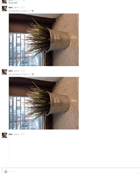 Uploaded Camera Image Previews Look Rotated 90 Degrees · Issue 26292