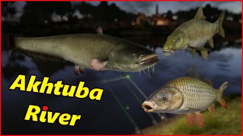 Russian Fishing 4 Akhtuba River rf4 spot #54 #mjplay - YouTube