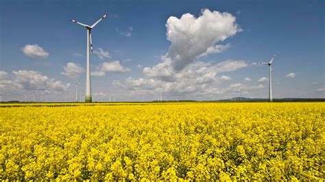 2035 Grid Decarbonisation Goal Out Of Reach Utility Week