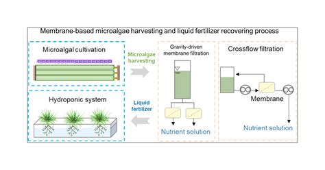 Reclamation Of Nutrient Solution From Membrane Based Microalgal Harvesting Processes For