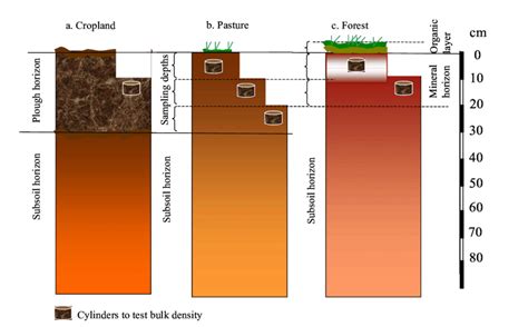 The Scheme Of Soil Profile Sampling Download Scientific Diagram