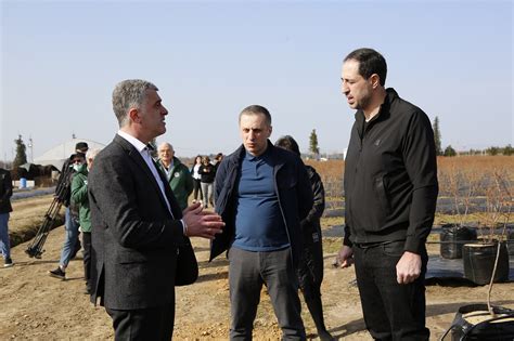 ოთარ შამუგია ჩვენ ფერმერებს ვეხმარებით ღირებულებათა ჯაჭვის თითქმის ყველა რგოლში დაწყებული