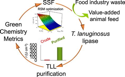 Lipases Design And Optimization Cd Biosynsis