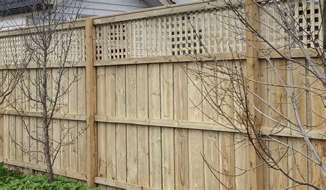 Privacy Benefits Of Built In Lattice Between Neighbors Specialist Melbourne Paling Fence Builder