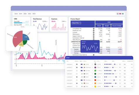 Vizlib Promo Insightsoftware