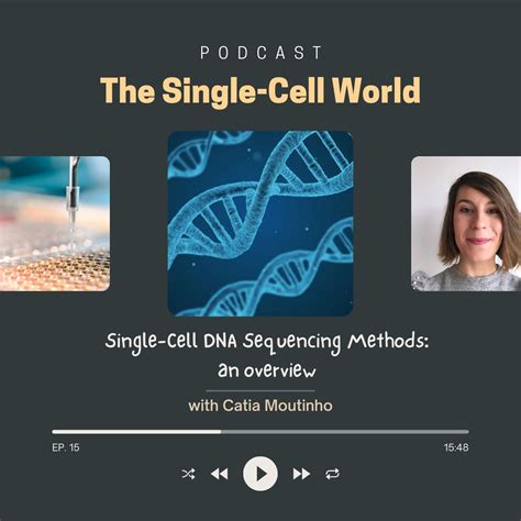 Ep15 Single Cell Dna Sequencing Methods An Overview The Single Cell