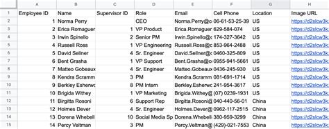 Create An Organization Chart Using Open Api Visual