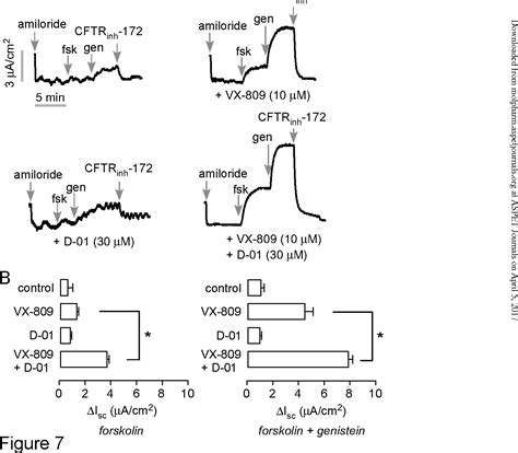 Figure 7 From Synergy Based Small Molecule Screen Using A Human Lung Epithelial Cell Line Yields