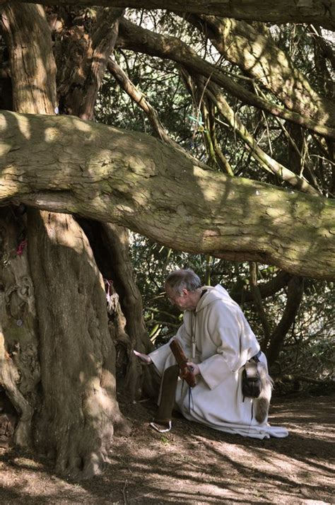 The Ancient Yew Tree Of Regeneration Of The Good Tree