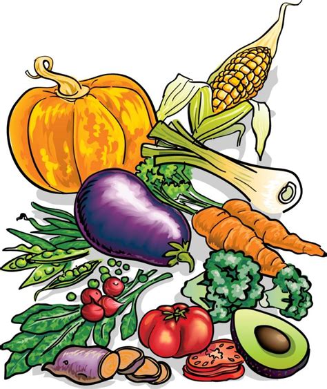 Clip Art Vegetables Clipart Best