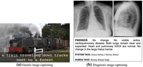 A Caption Produced By The Generic Captioning System Of 100 B Two