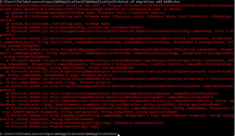 access to path nugetfallbackfolder dotnet ntimeconfig