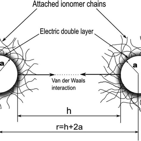 Interactions Between The Colloidal Particles When Suspended In A Liquid Download Scientific