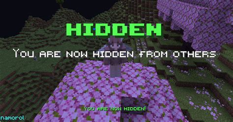 Hide Skript Builtbybit