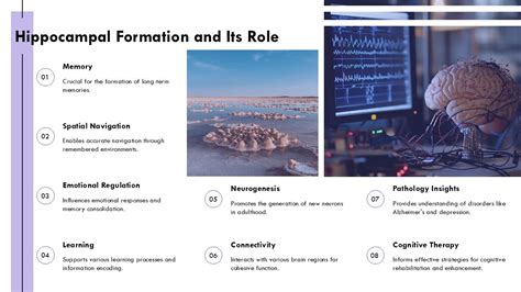 Hippocampal Formation And Its Role Trisynaptic Circuit Ppt Powerpoint St Ai Ss Ppt Example