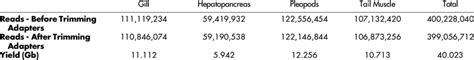 Rna Seq Reads Before And After Adapter Filtering Download Table