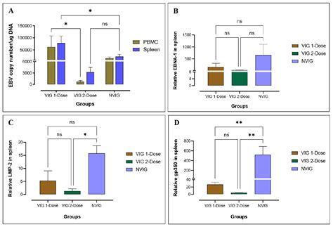 Assessing The Efficacy Of Vlp Based Vaccine Against Epstein Barr Virus Using A Rabbit Model