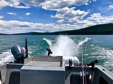 Lamiglas Fishing Rods And Rod Blanks