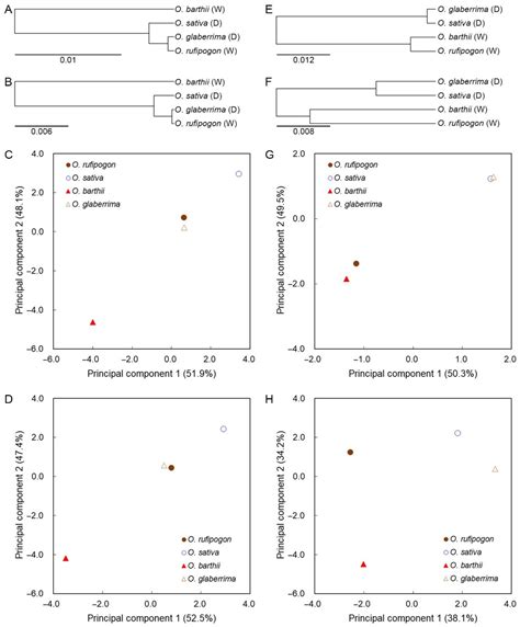 The Shift In Synonymous Codon Usage Reveals Similar Genomic Variation