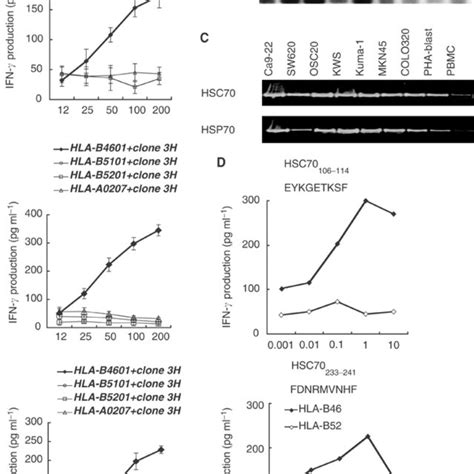 Determination Of The Gene A Identification Of A Gene Coding For