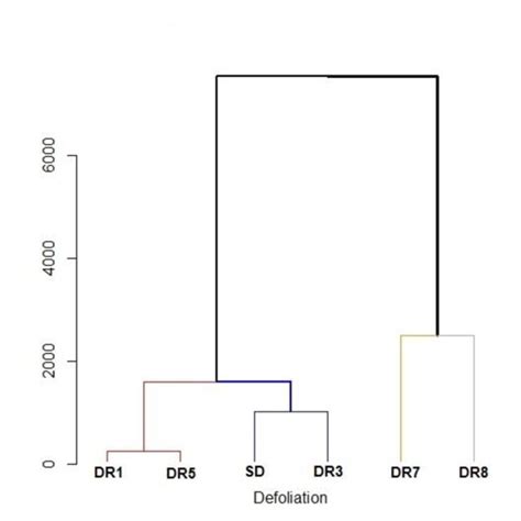 dendrogram with dissimilarity obtained through the mean euclidean